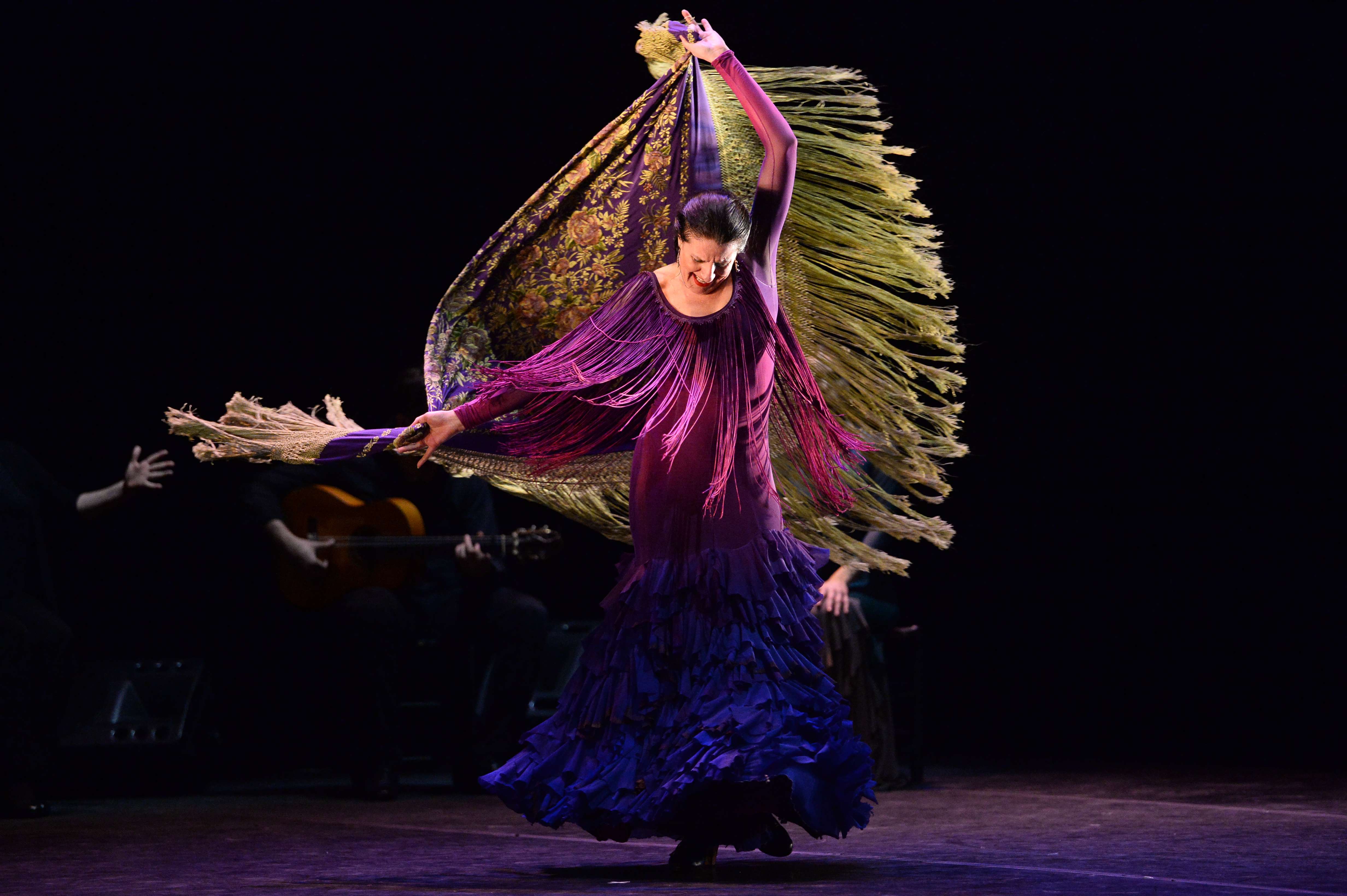 FITS 2014, jurnal de festival (V): Pasiune și silogisme exemplare | pr ...