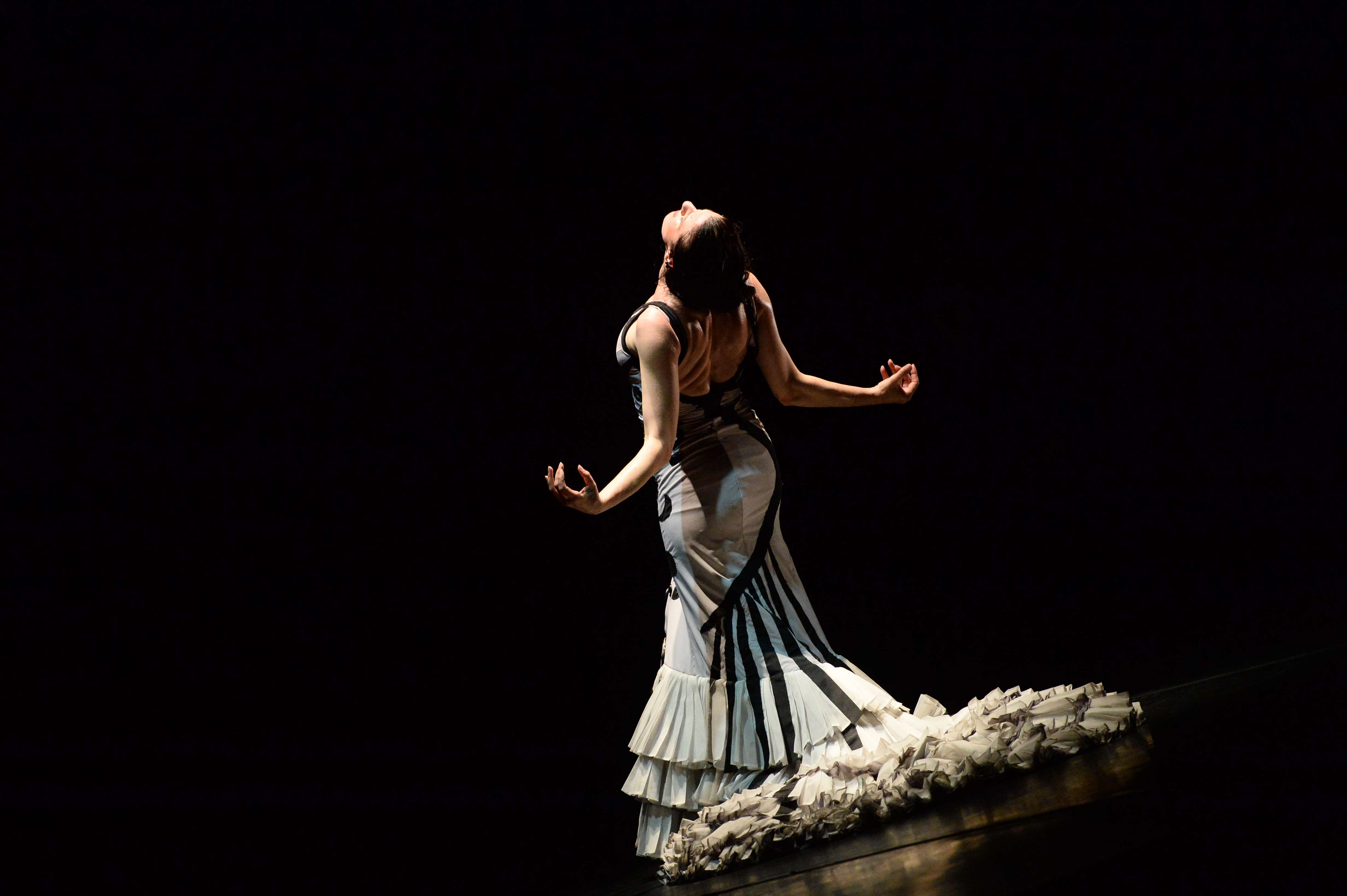 FITS 2014, jurnal de festival (V): Pasiune și silogisme exemplare | pr ...